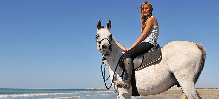 What is a Shore Excursion?